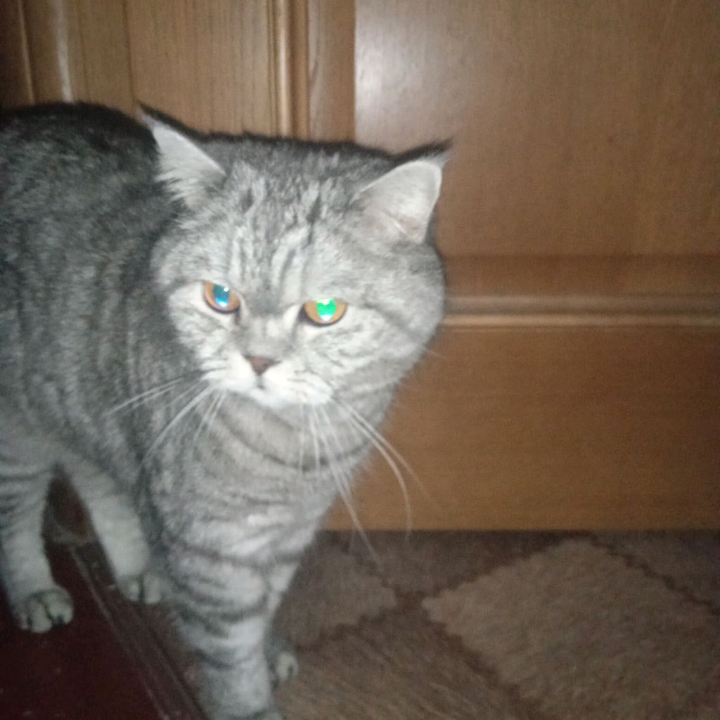 Иконка канала Воробейка_КВ