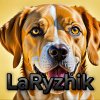 Иконка канала LaRyzhik