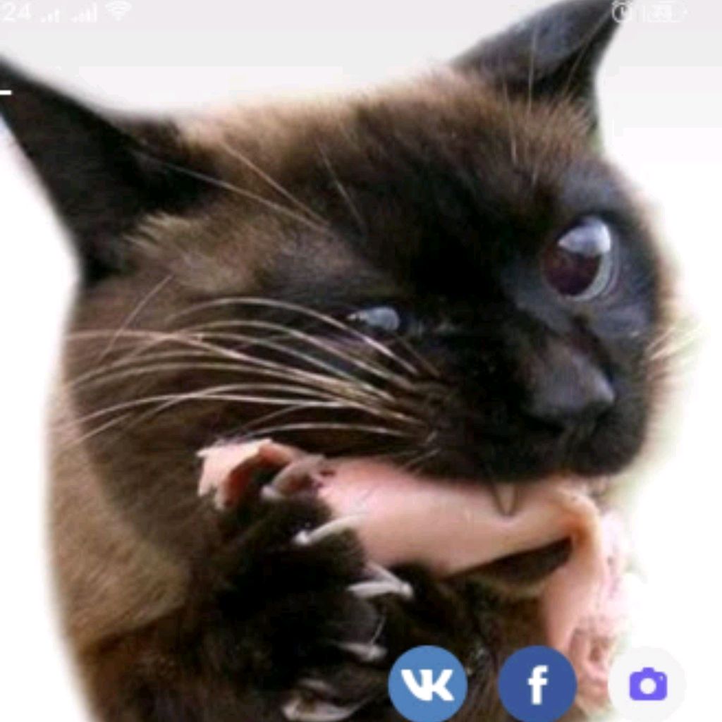 Иконка канала Vinograd