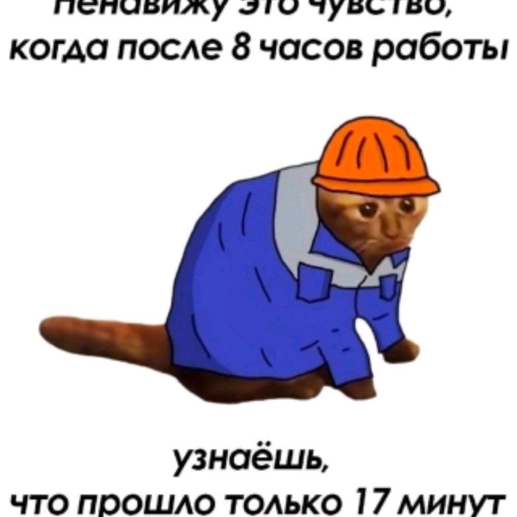 Иконка канала 🐈