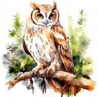 Иконка канала Клуб Мудрая Сова