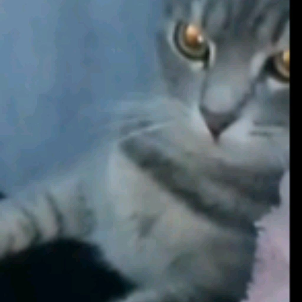 Иконка канала блогеры рф/телешоу/сериалы, кино ффф