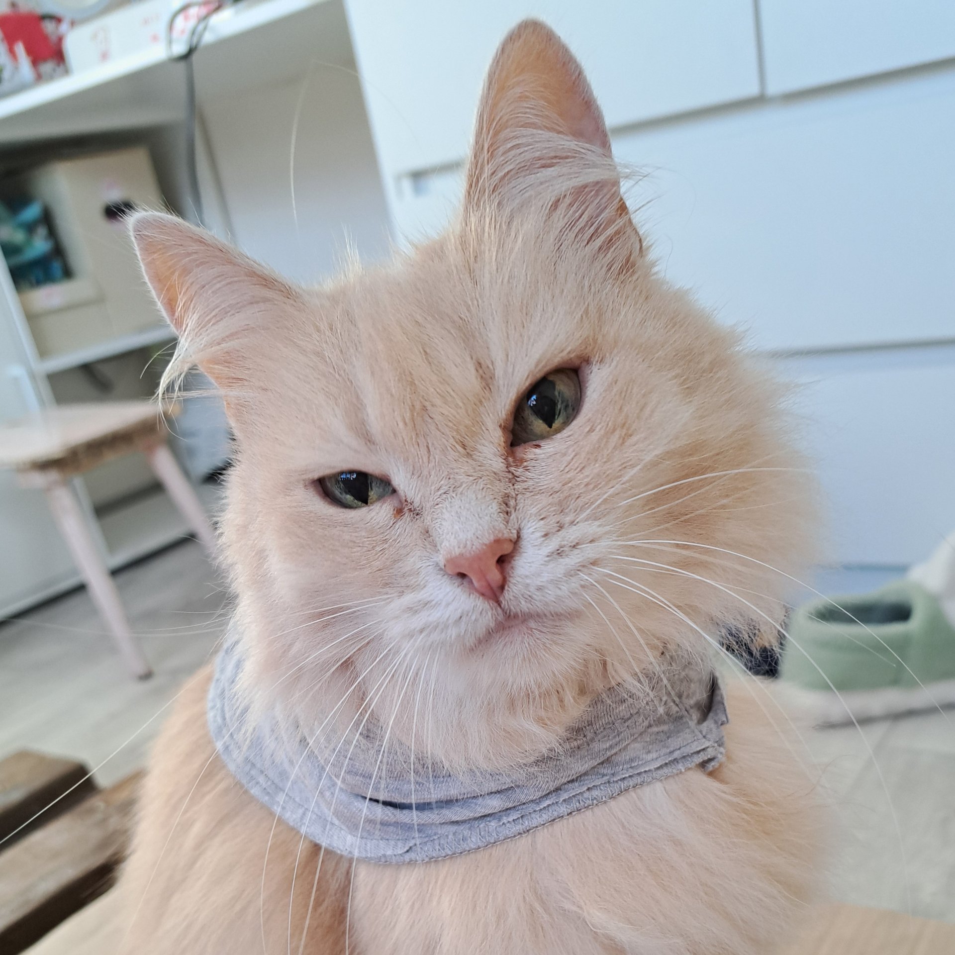 Иконка канала Прекрасный мир вокруг нас❤️