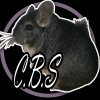 Иконка канала CHINCHILLA-BEST-STANDART