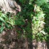 Иконка канала БОГАДАН