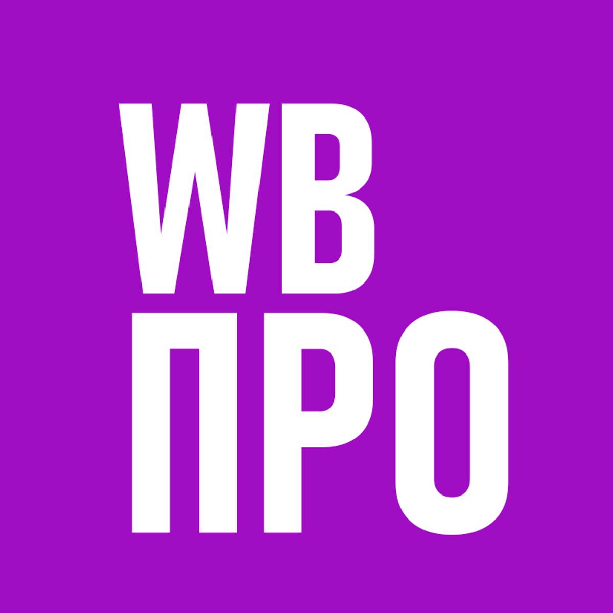 Иконка канала WBпро_от 0 до до чистой за месяц