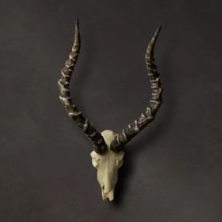 Иконка канала Dirtwin