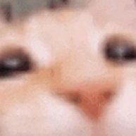 Иконка канала !Waque