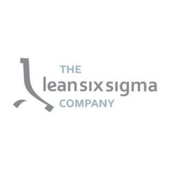 Иконка канала The Lean Six Sigma Company