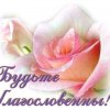 Иконка канала 🙏 ХРИСТИАНСКИЕ ПЕСНИ И ПРОПОВЕДИ ЕХБ  🌺