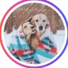 Иконка канала ЯнвариЗАция 43 рф