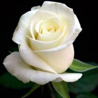 Иконка канала OlgaStories