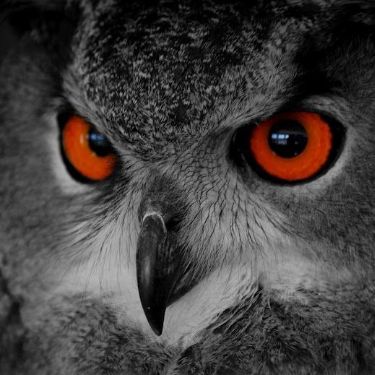 Иконка канала GAME ENGELS