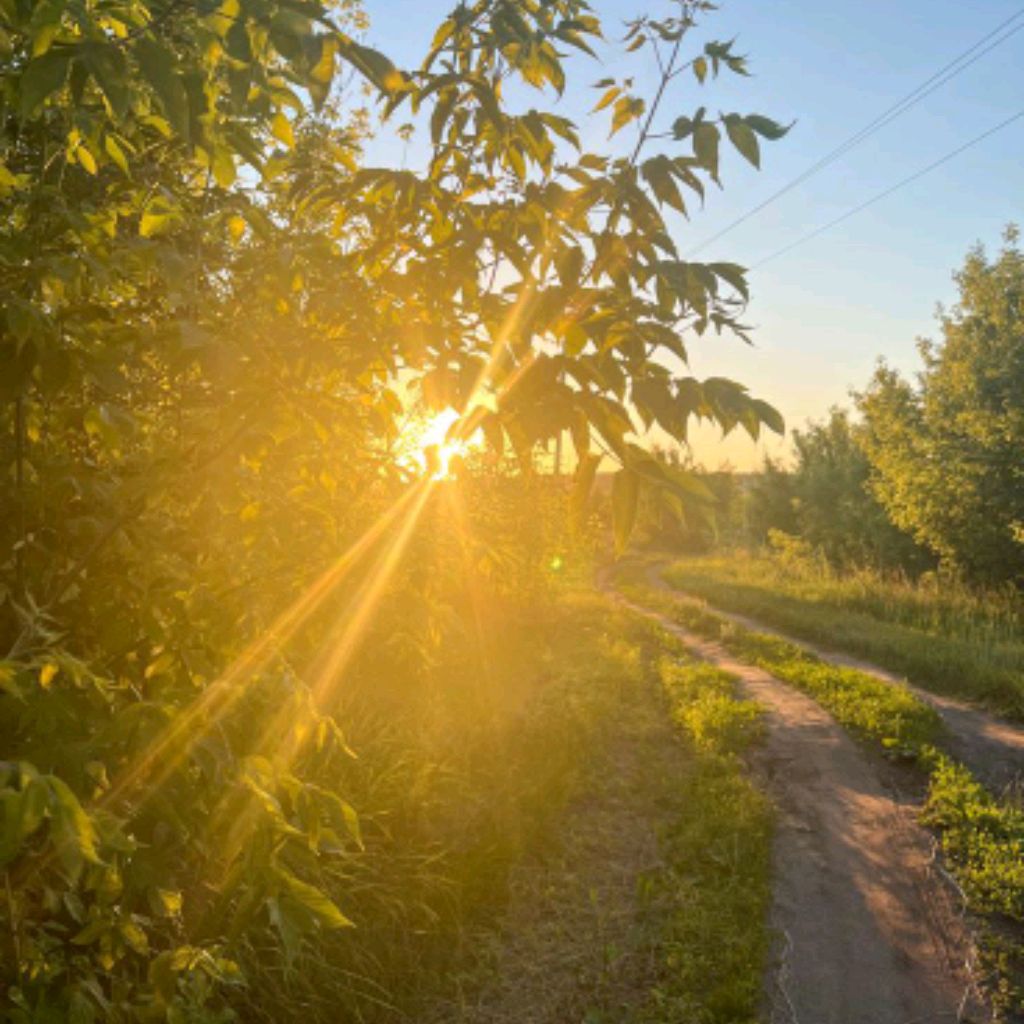 Иконка канала Роман.