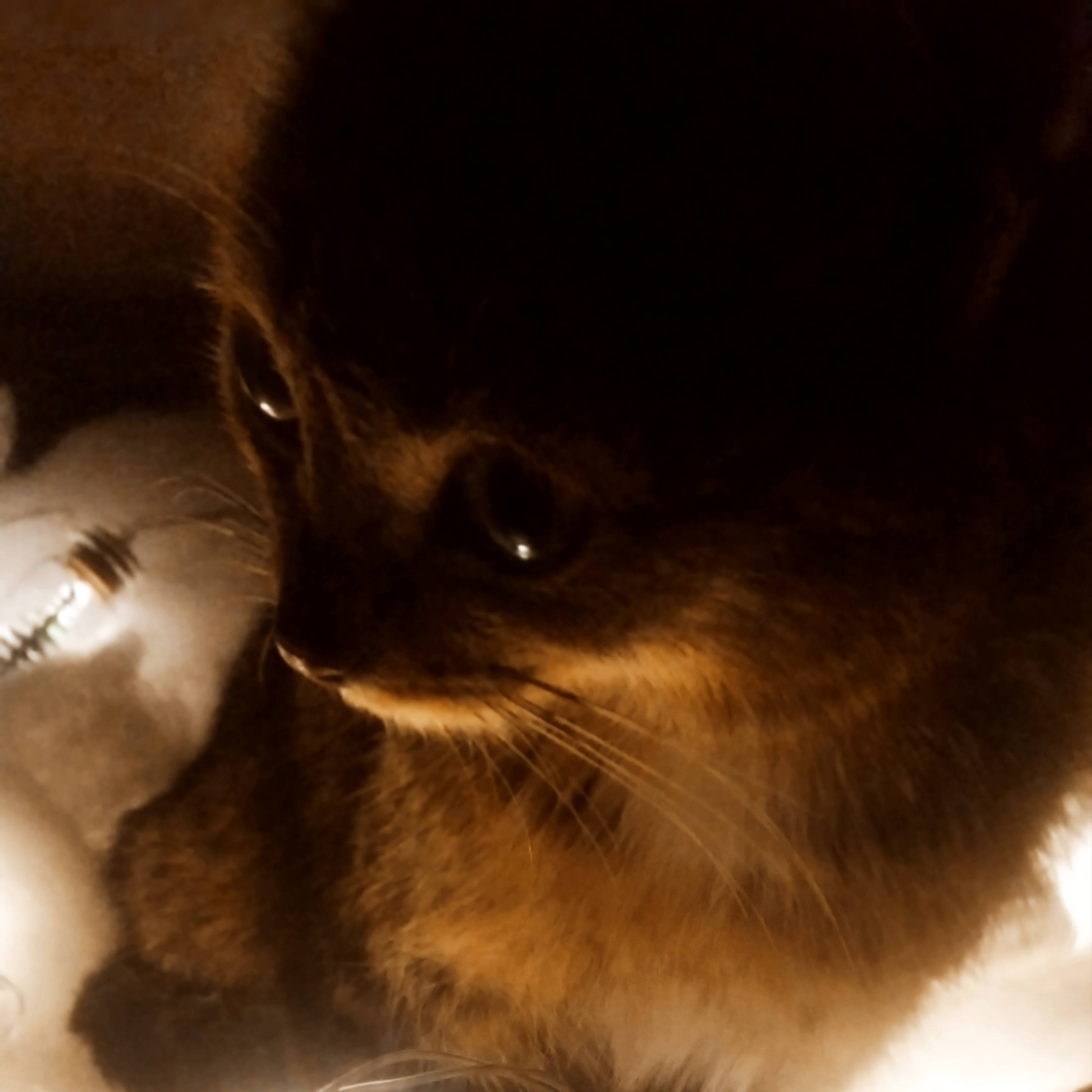 Иконка канала Юля о творчестве 🥰💗