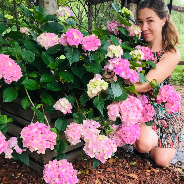 Иконка канала Катин Сад