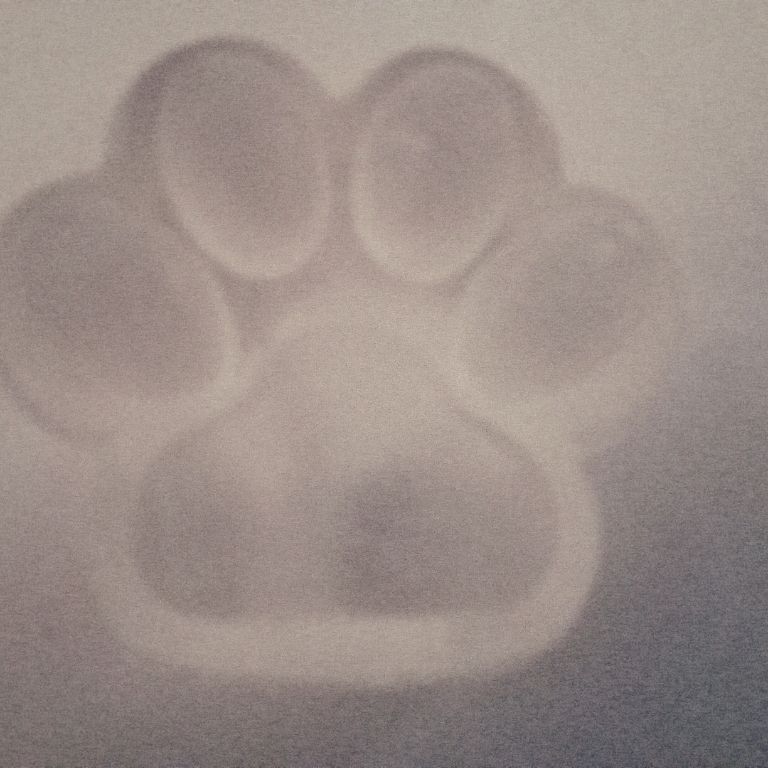 Иконка канала Та ба лапка🐾🐾🐾🐾🐾