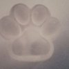 Иконка канала Та ба лапка🐾🐾🐾🐾🐾