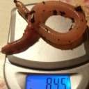 Иконка канала Виктор Моргунов. "Чёрный Принц".