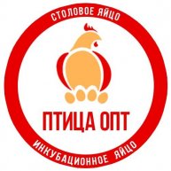 Иконка канала PticaOpt