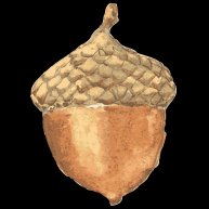 Иконка канала Агентство талантов NAAT Кати Третьяк