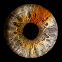 Иконка канала Жизнь русских людей