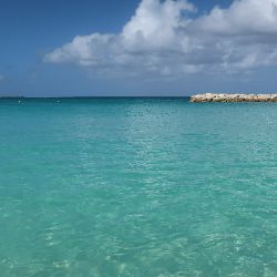 Иконка канала 47912364