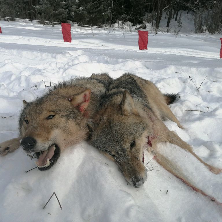 Иконка канала Сергеевич_66