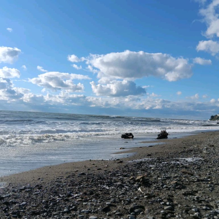 Иконка канала Дикая Хиппи