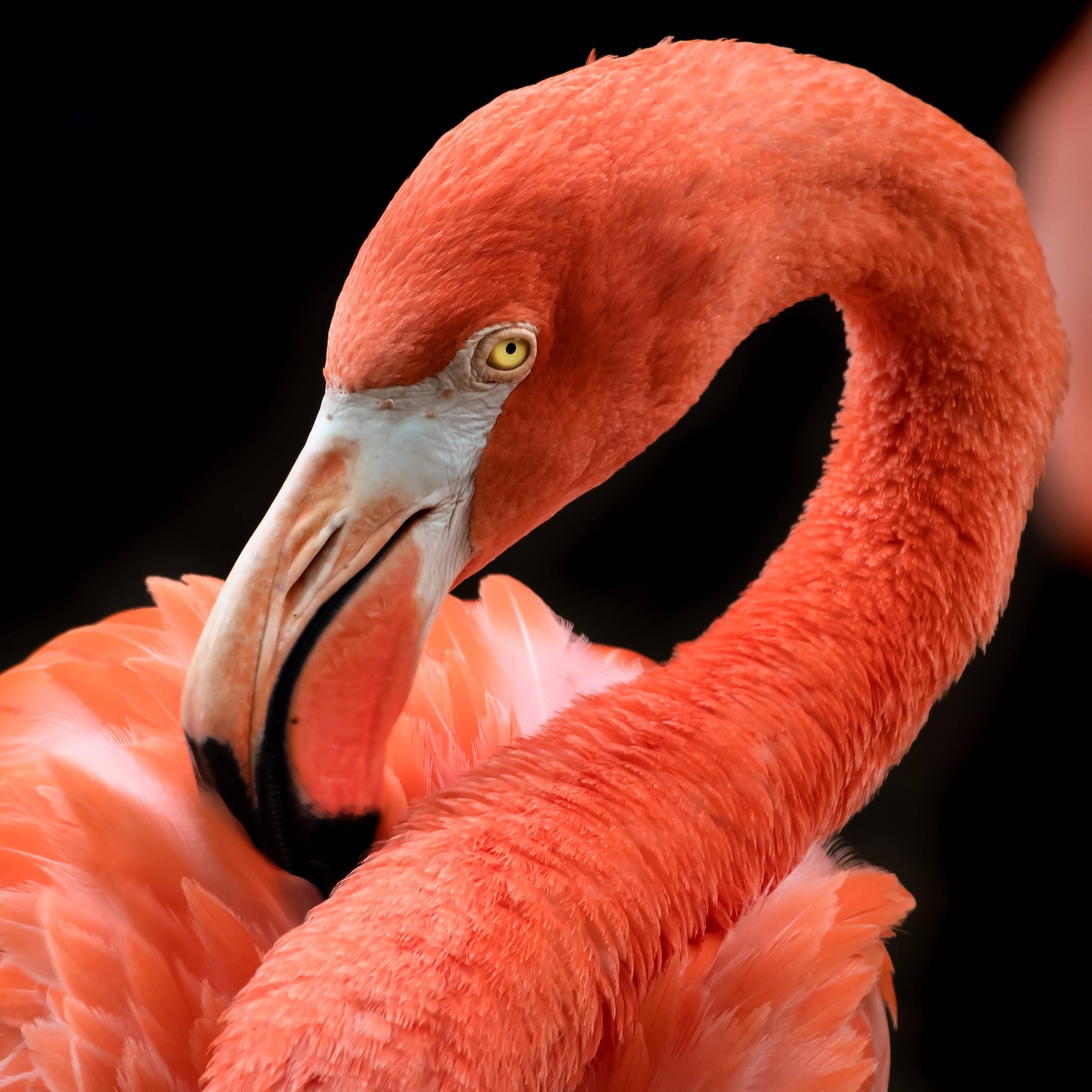 Иконка канала Музыка для души