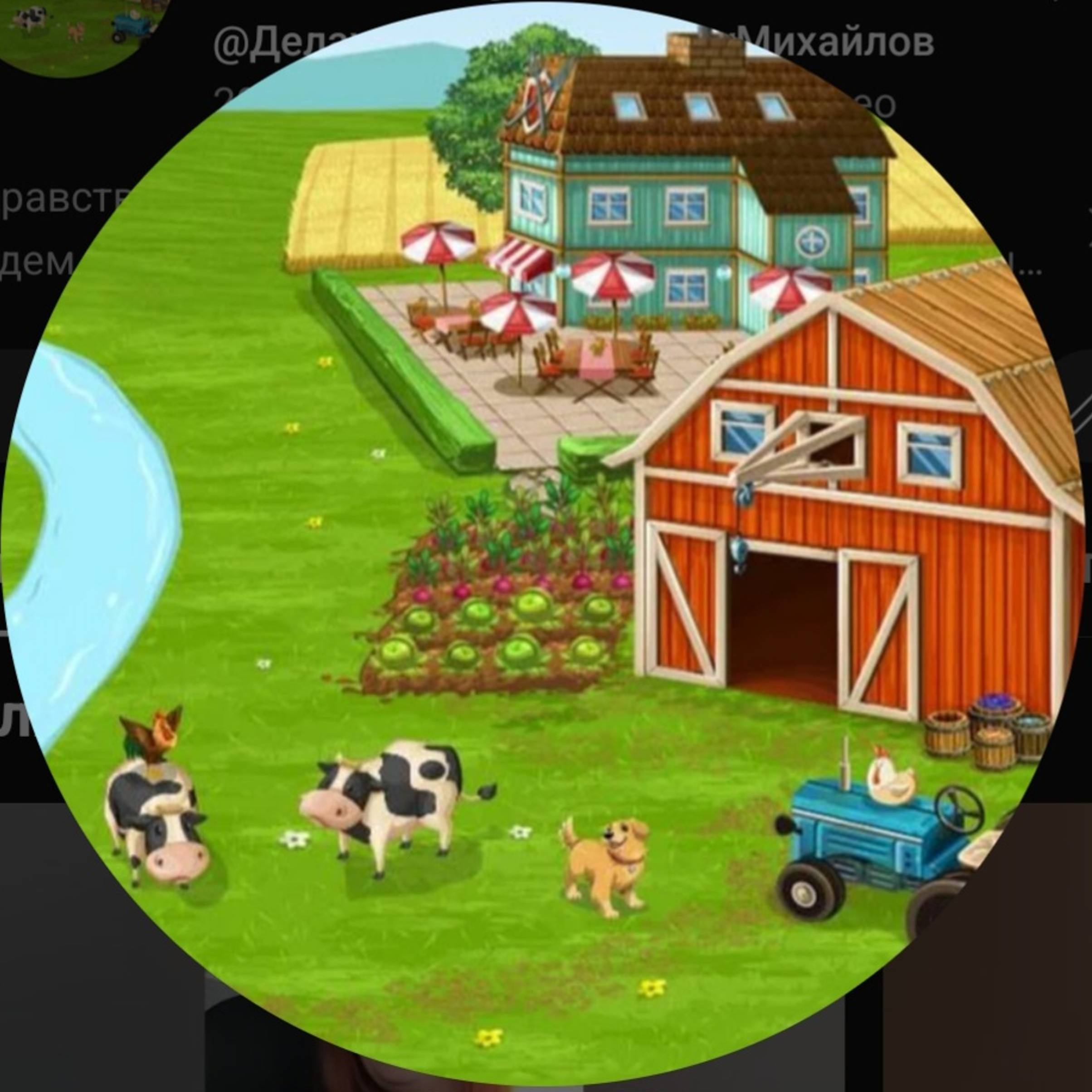 Иконка канала Дела хозяйские. (в гостях у Михайловны)