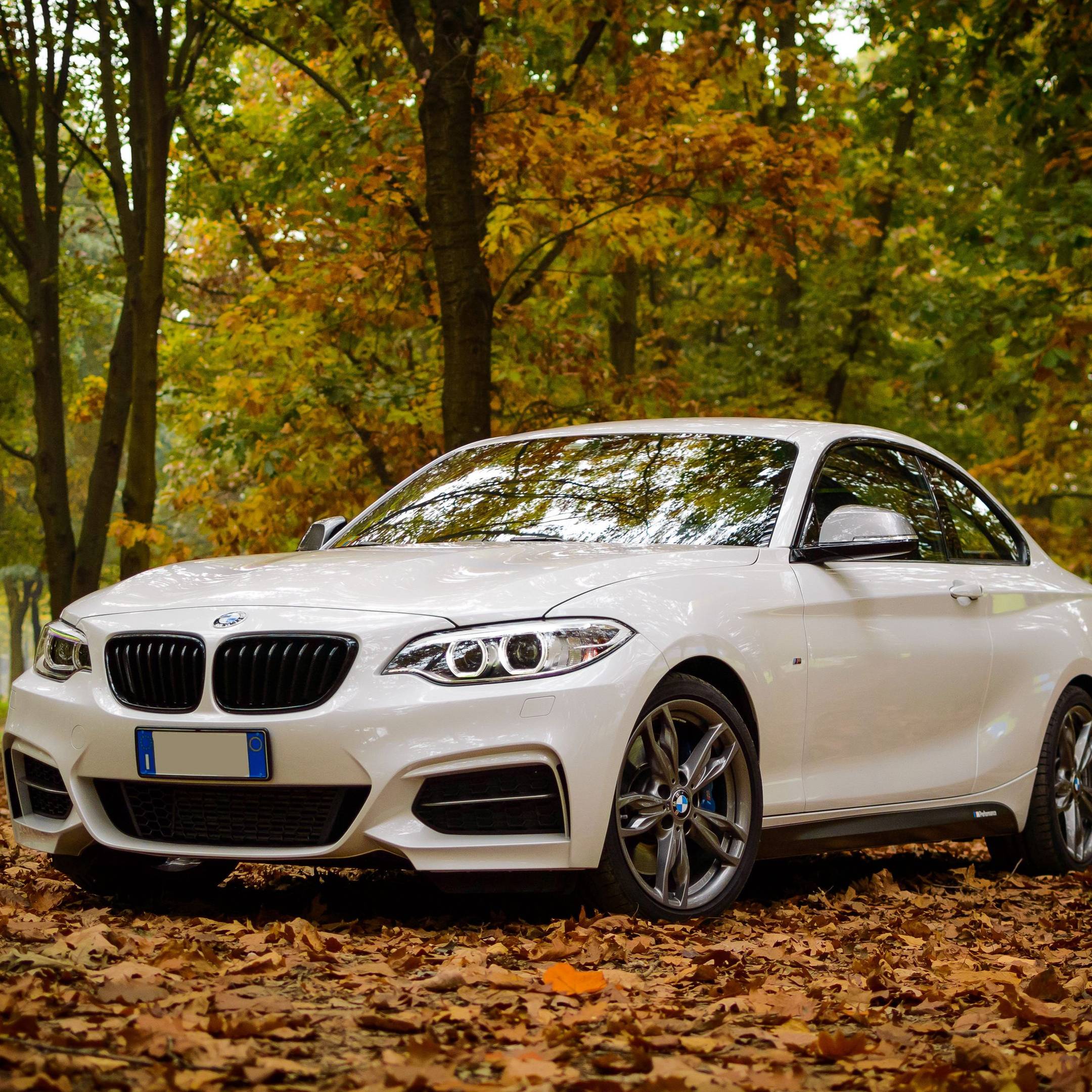 Иконка канала channel48100892