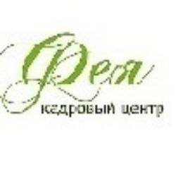 Иконка канала Агентство Фея, домашний персонал, Москва