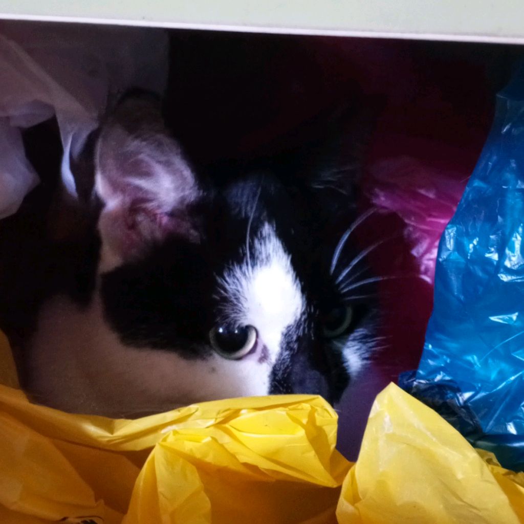 Иконка канала Marycoo Stor роблакс 🍉💗