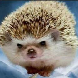 Иконка канала ivan 3