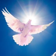 Иконка канала Открытая семинария