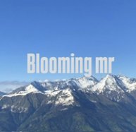 Иконка канала Blooming Mr