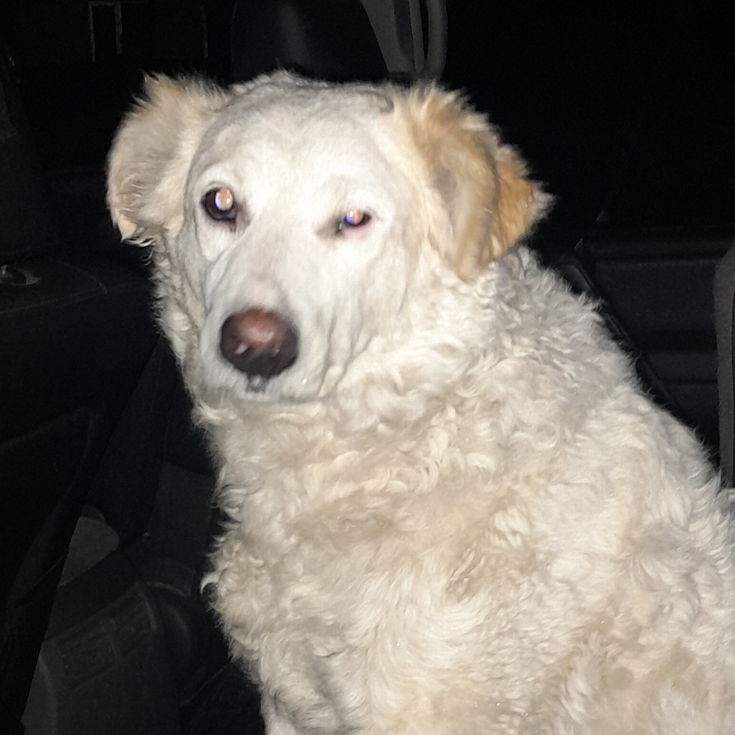 Иконка канала УЛЫБНИСЬ