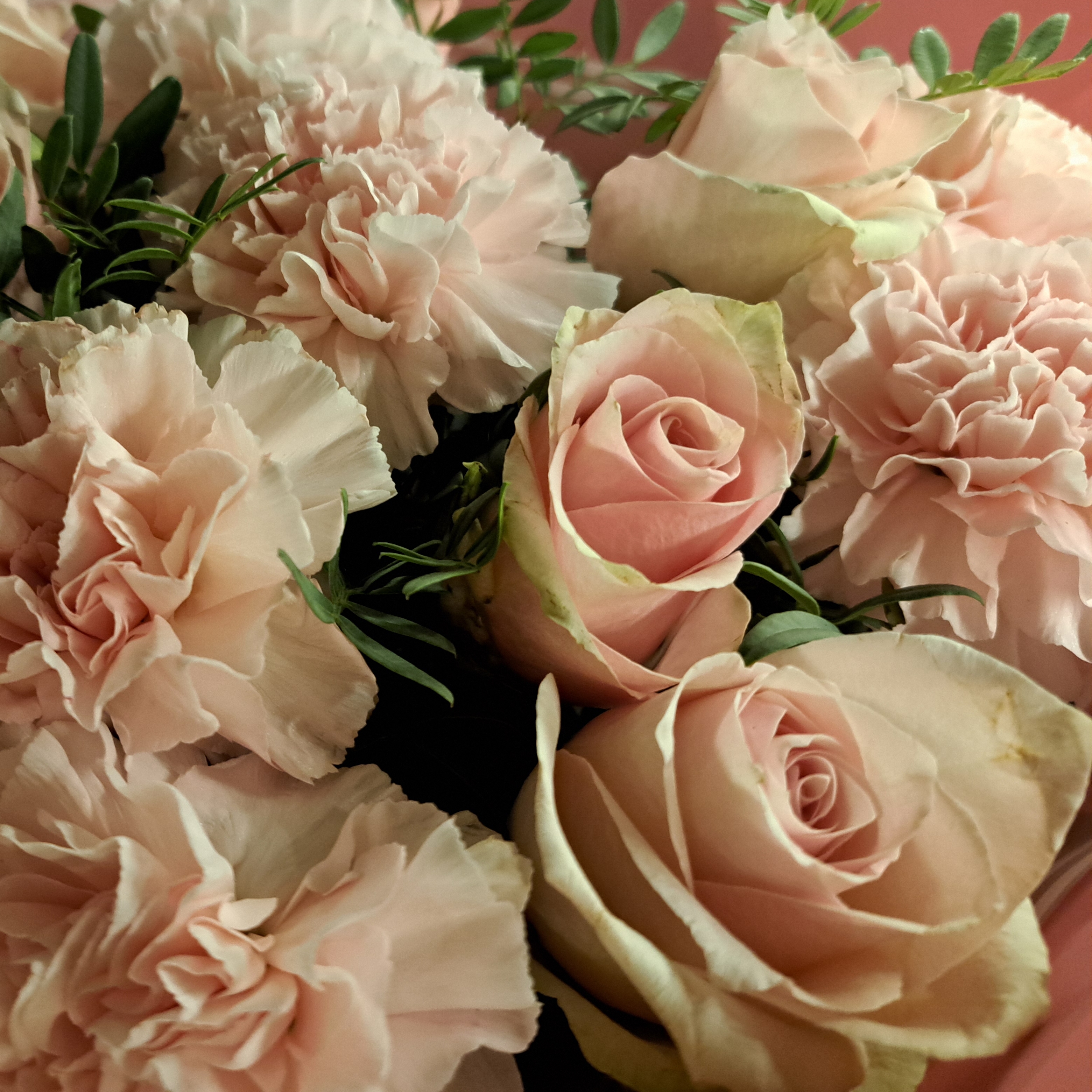 Иконка канала Недвижимость СПБ и Лен.обл; 8(904)612-9493