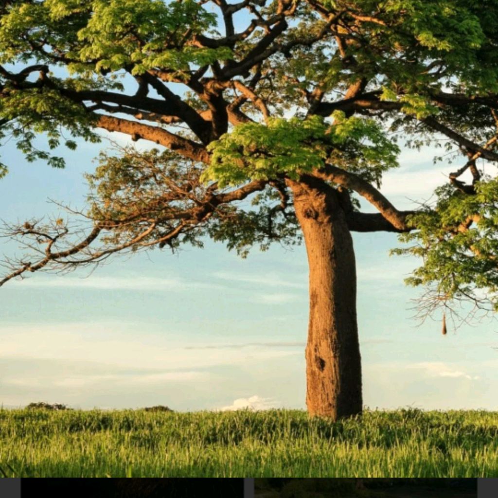 Иконка канала Настя и мирка