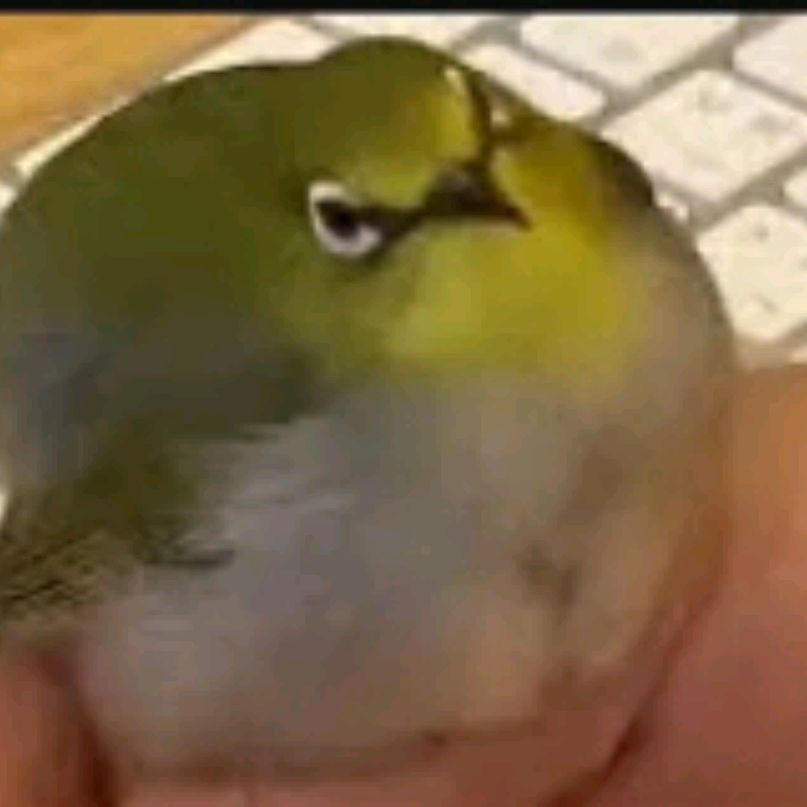 Иконка канала Dimentii