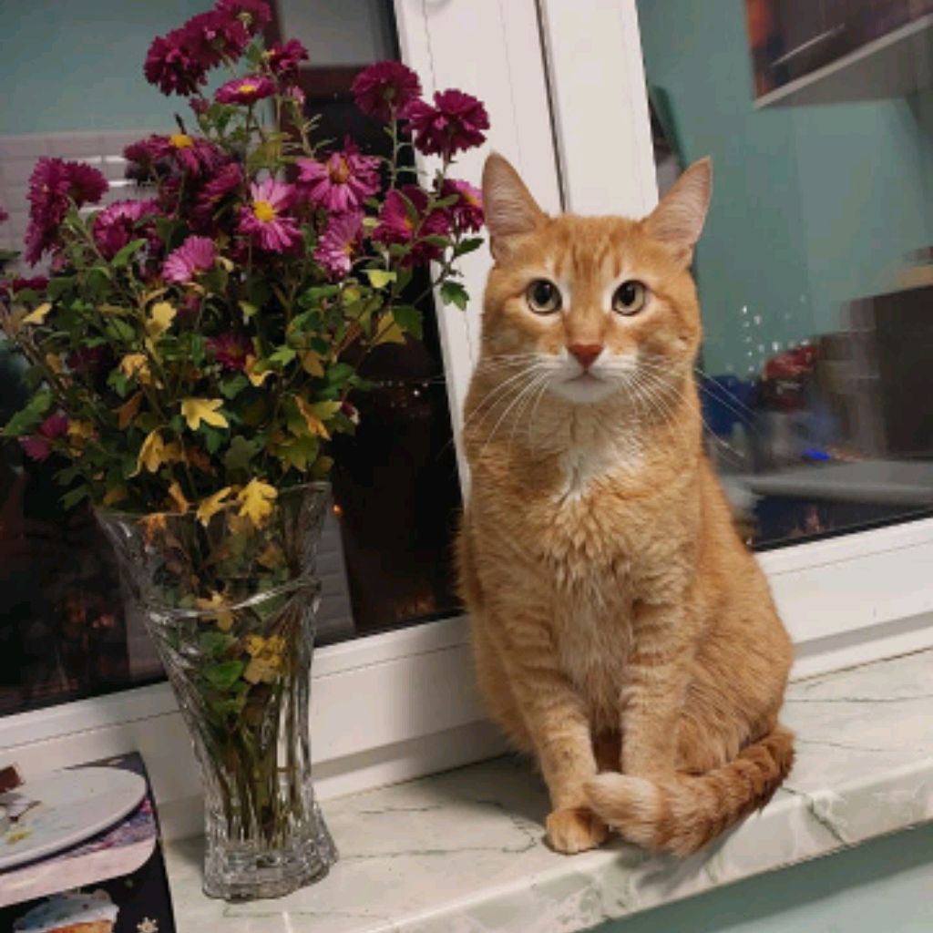 Иконка канала Hot Family