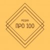 Иконка канала МЕДИА ПРО 100