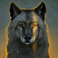 Иконка канала Black WolF