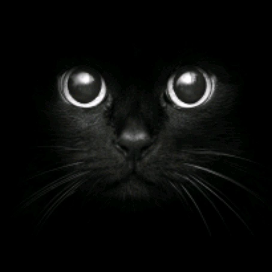 Иконка канала Tytai tv