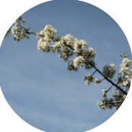 Иконка канала Любовь Басурманова