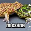 Иконка канала 10с