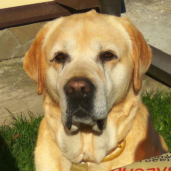 Иконка канала Yurayuraleonidovich