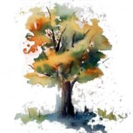 Иконка канала Ясень