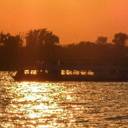 Иконка канала omelche